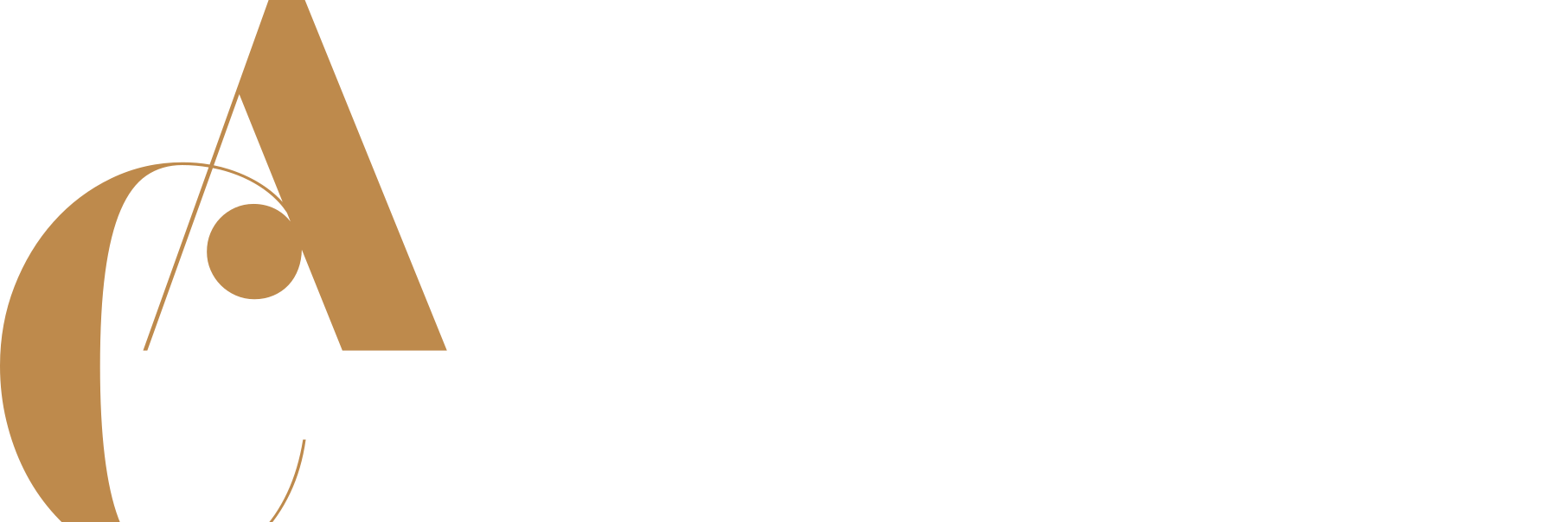 O Que é Bitola: Definição E Importância Na Arquitetura